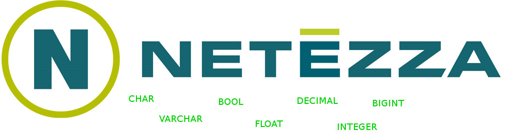 List of Netezza Data Types and Best Practices - DWgeek.com